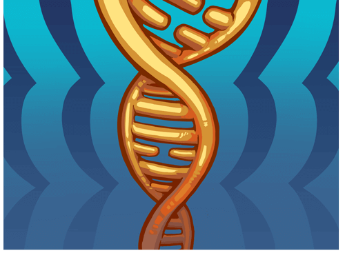 The Defect Card Tier List | SpireSpy